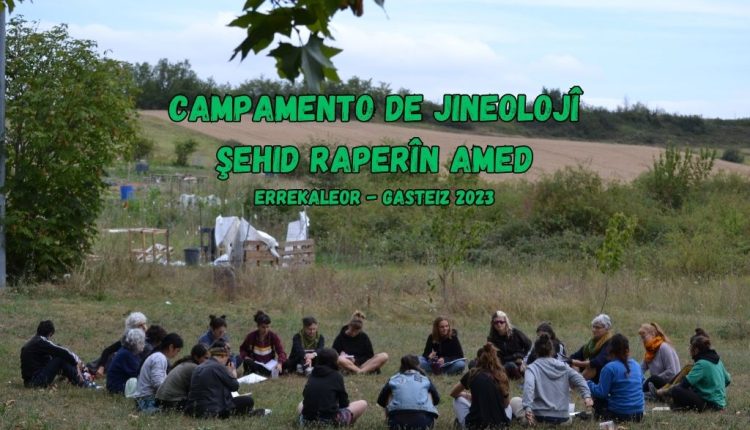 JINEOLOJI – Una Ciencia Desarrollada Entorno a Las Mujeres Será El ...